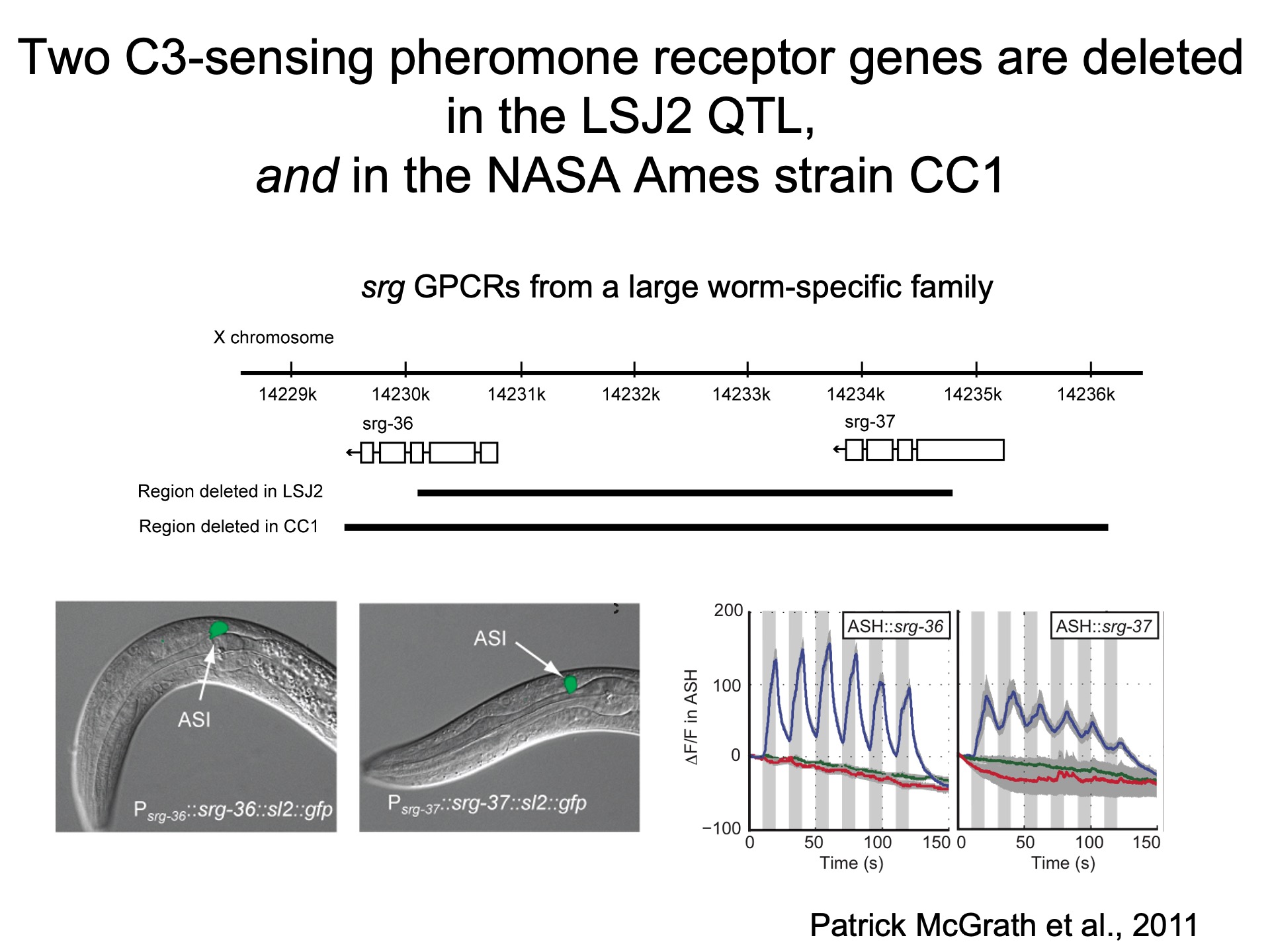 Celebrating the Life and Science of Sydney Brenner - Cori Bargmann ...
