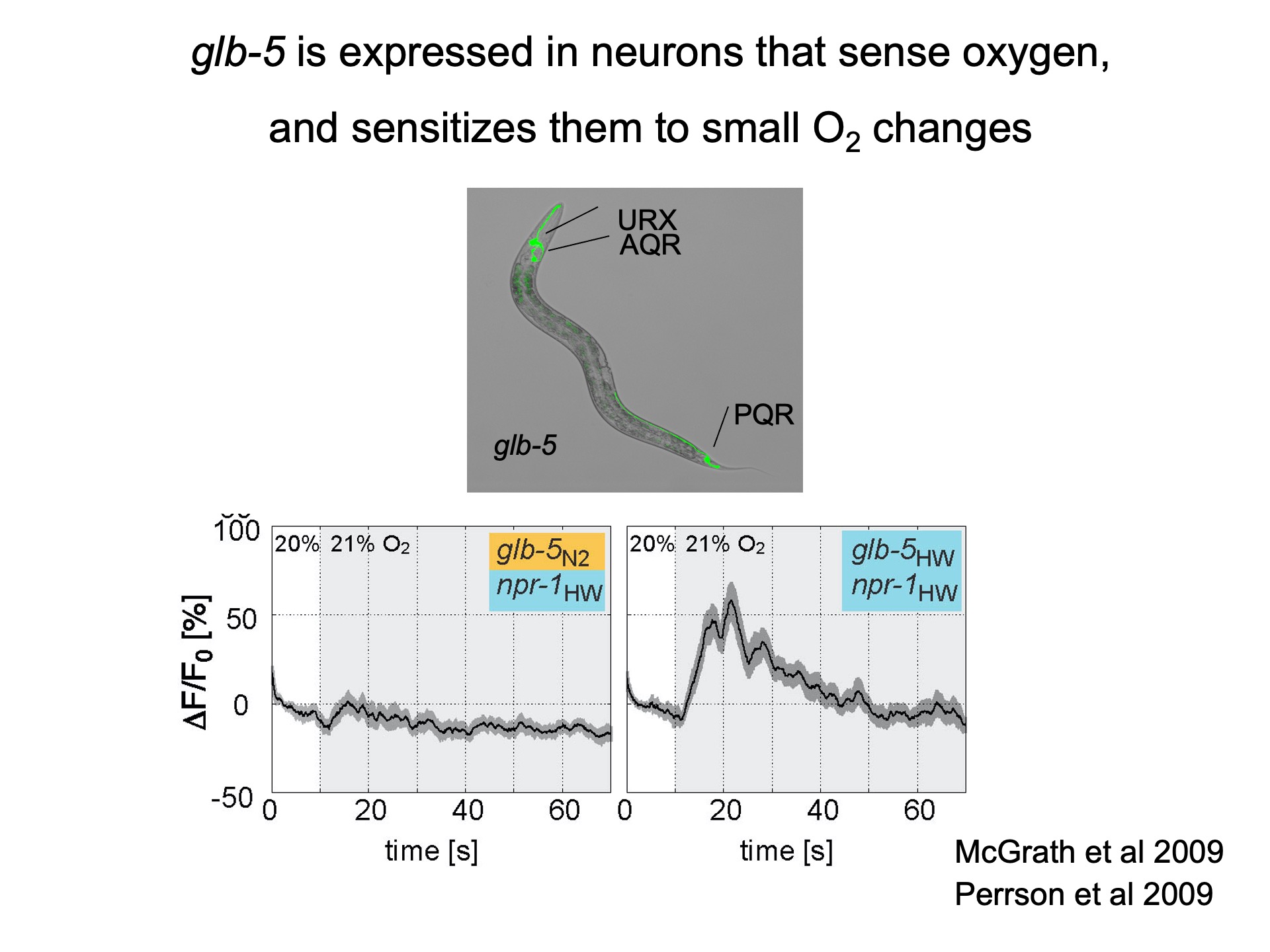 Celebrating the Life and Science of Sydney Brenner - Cori Bargmann ...