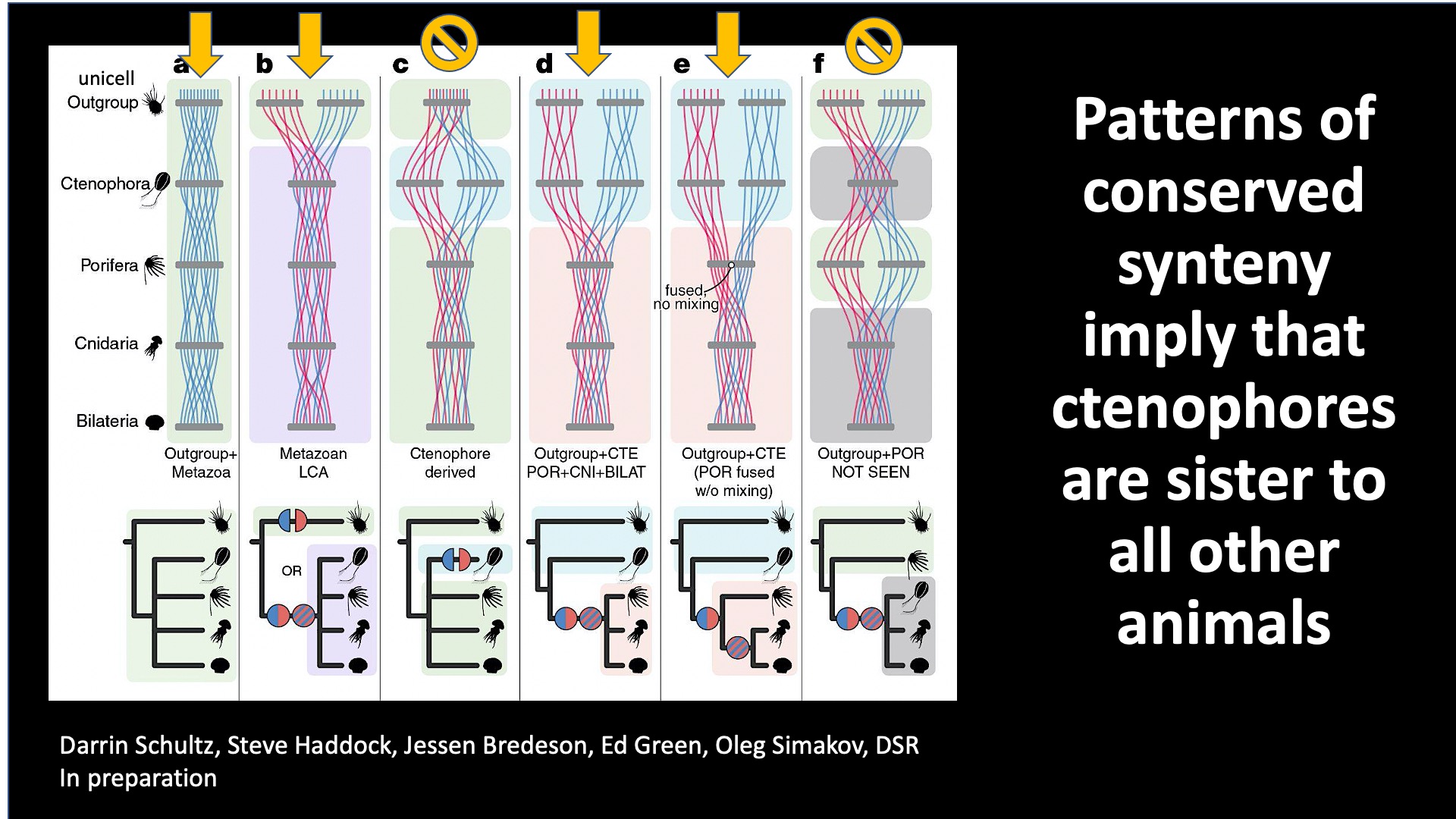 Celebrating the Life and Science of Sydney Brenner - Daniel Rokhsar ...
