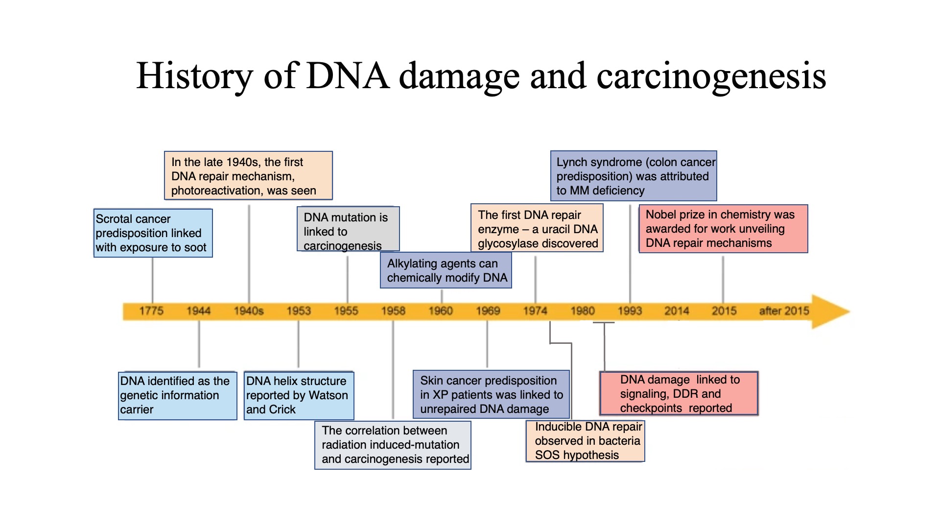 Cancer Genetics: History & Consequences - Stephen Elledge - The DNA ...