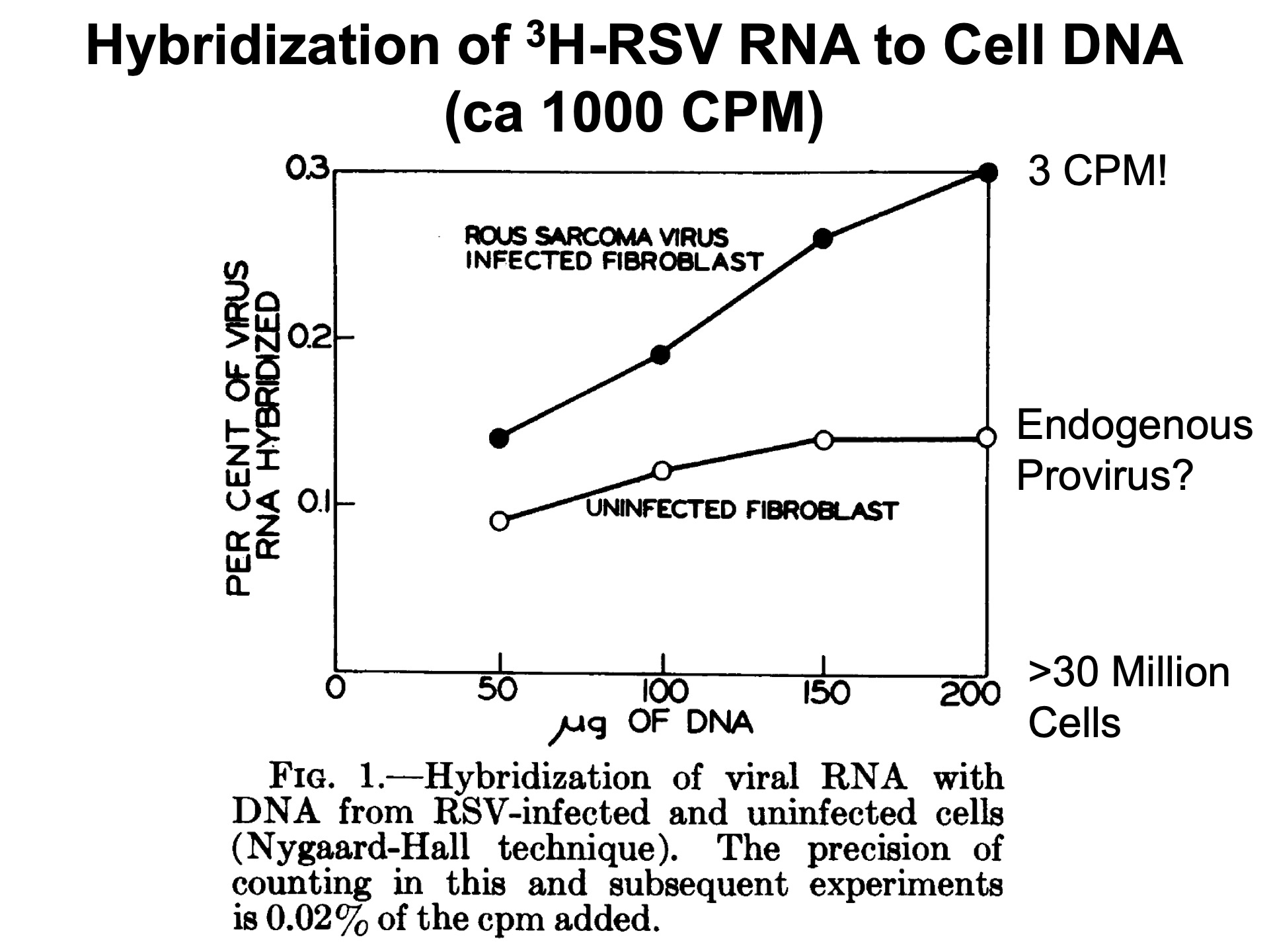 Fifty Years of Reverse Transcriptase - John M. Coffin - Howard Temin ...