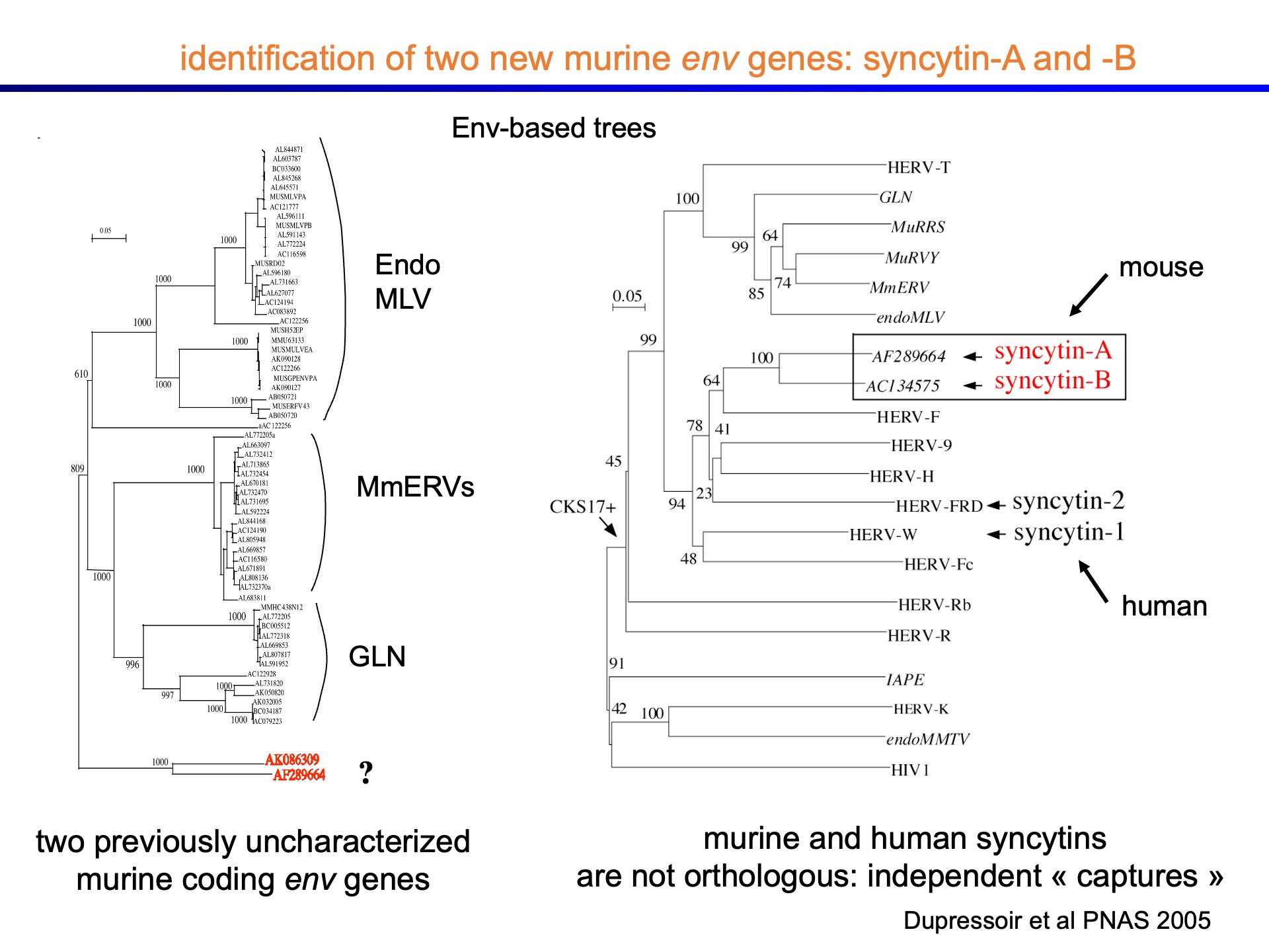 Fifty Years of Reverse Transcriptase - Thierry Heidmann - Retroelements ...