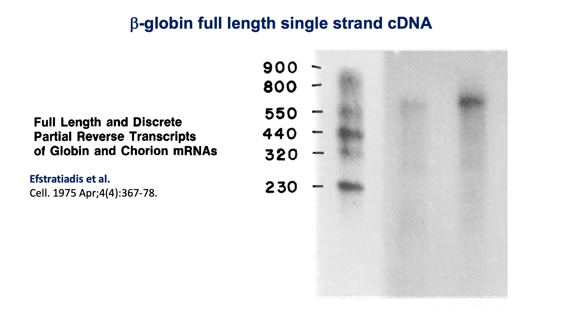 Fifty Years of Reverse Transcriptase - Tom Maniatis - Cloning and ...