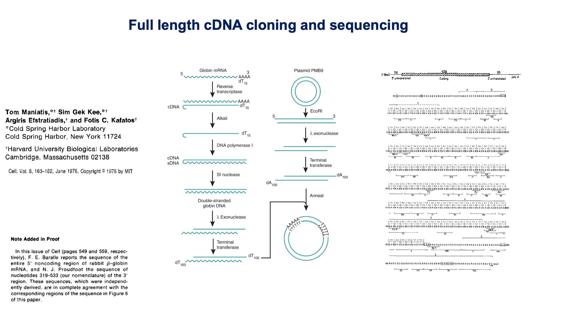 Fifty Years of Reverse Transcriptase - Tom Maniatis - Cloning and ...