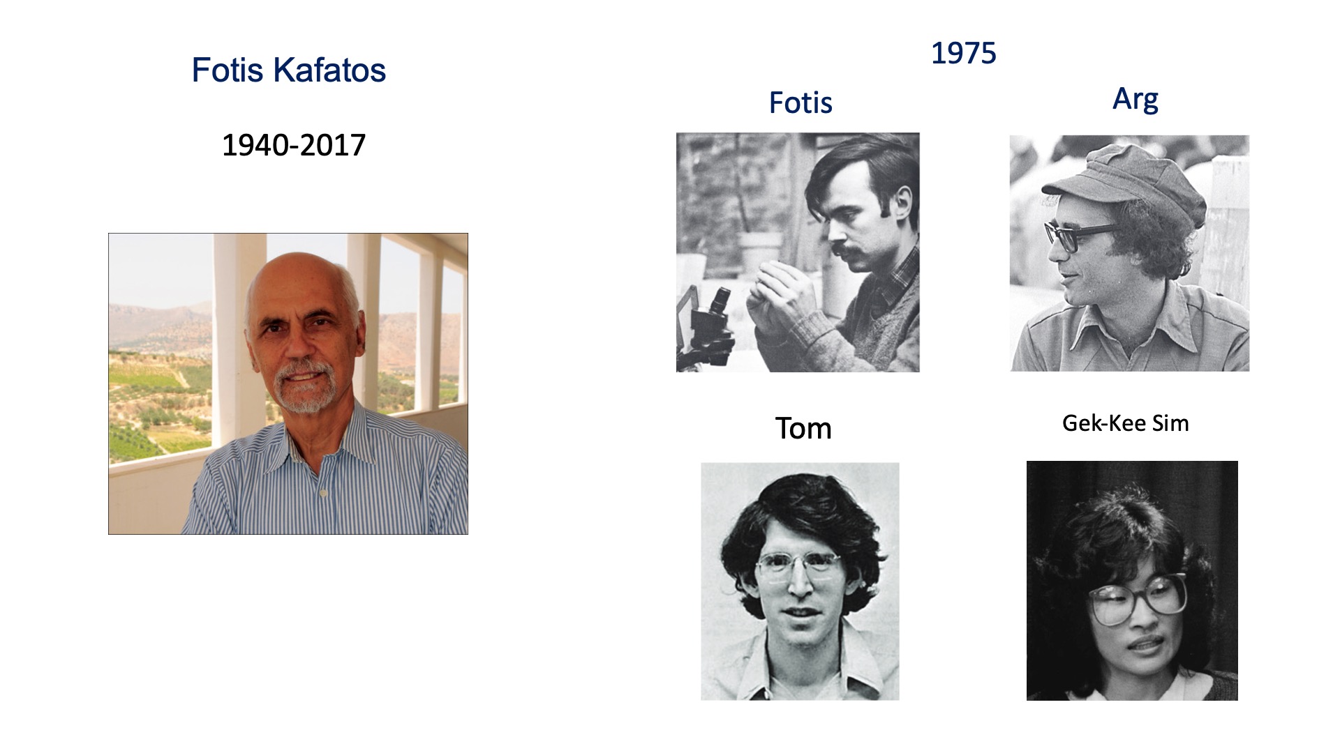 Fifty Years of Reverse Transcriptase - Tom Maniatis - Cloning and ...