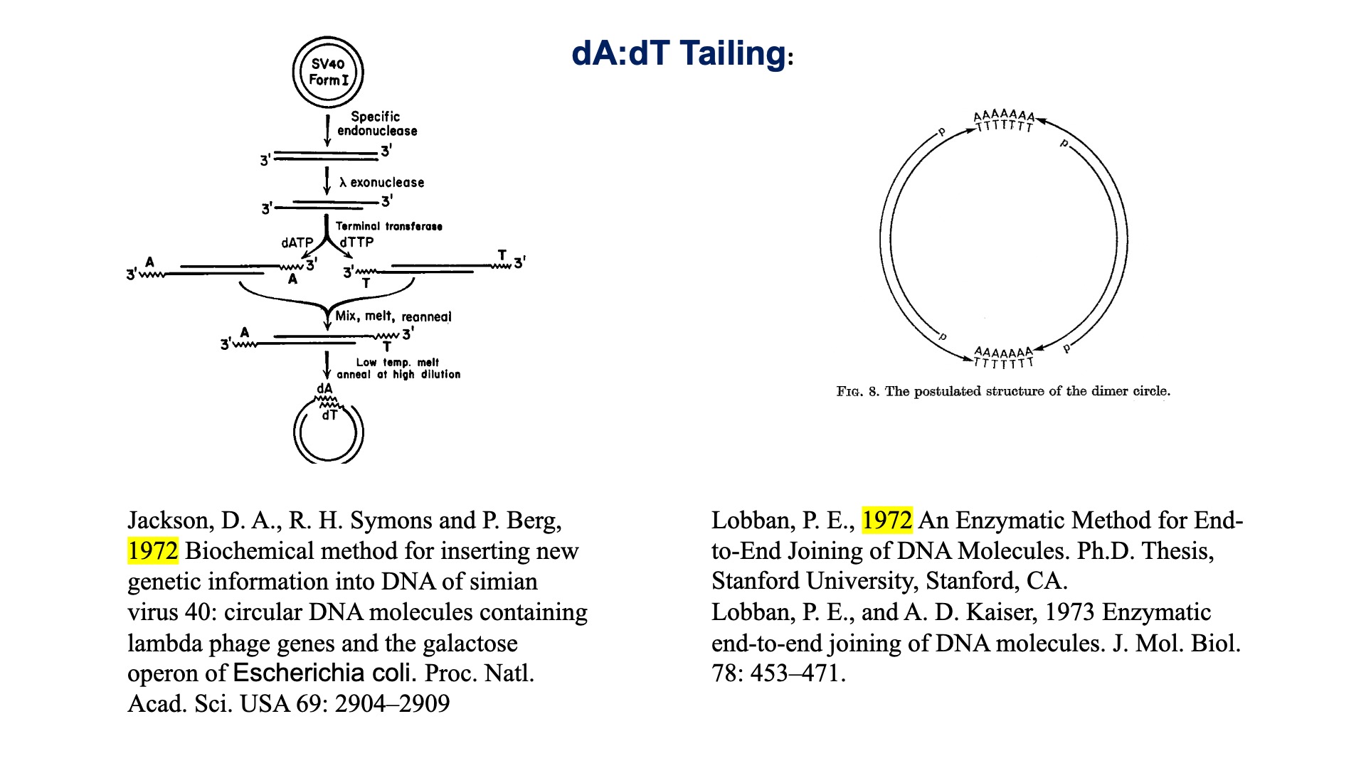 Fifty Years of Reverse Transcriptase - Tom Maniatis - Cloning and ...