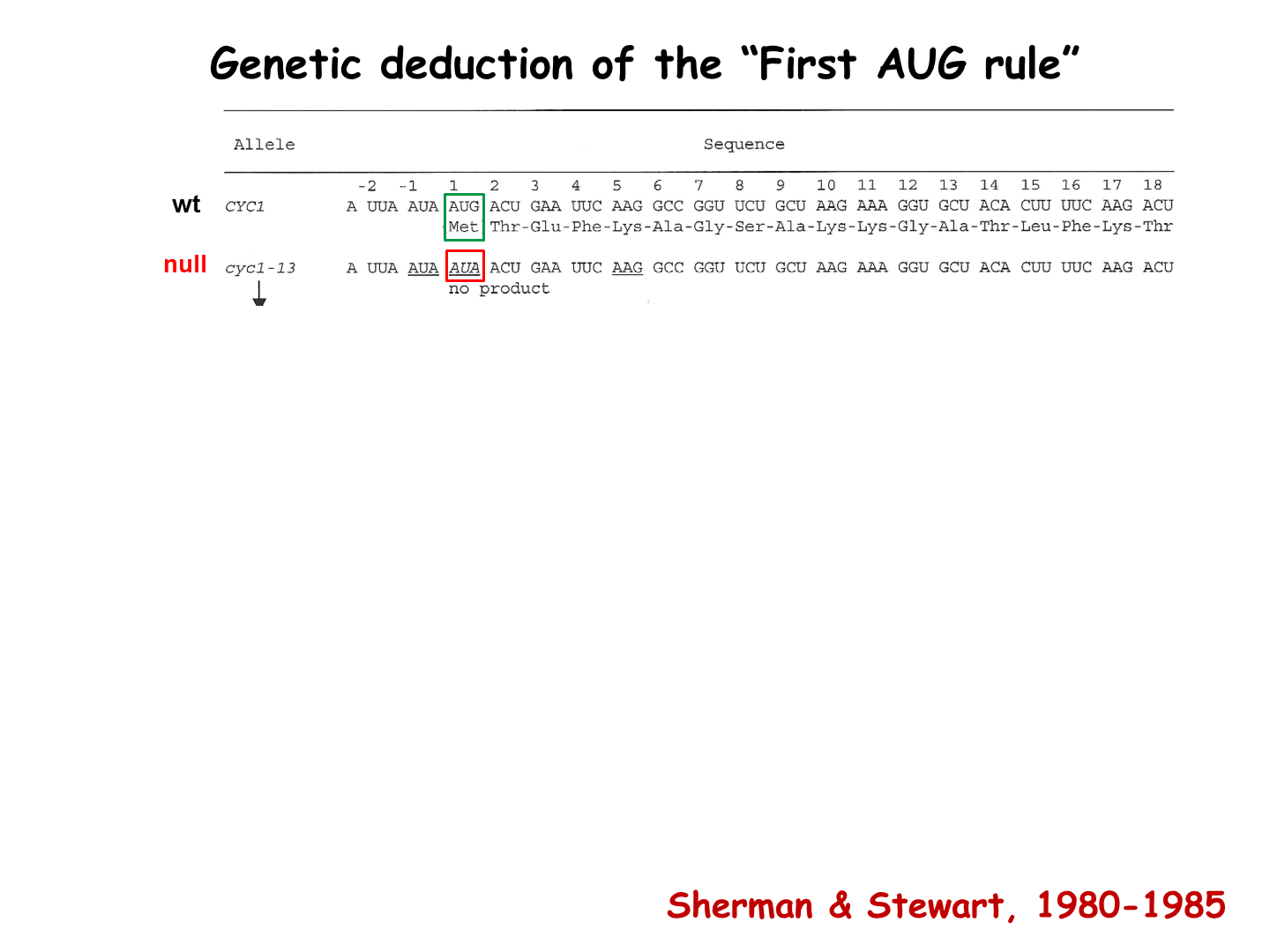 Yeast Research Meeting - Alan Hinnebusch - The key role of yeast ...