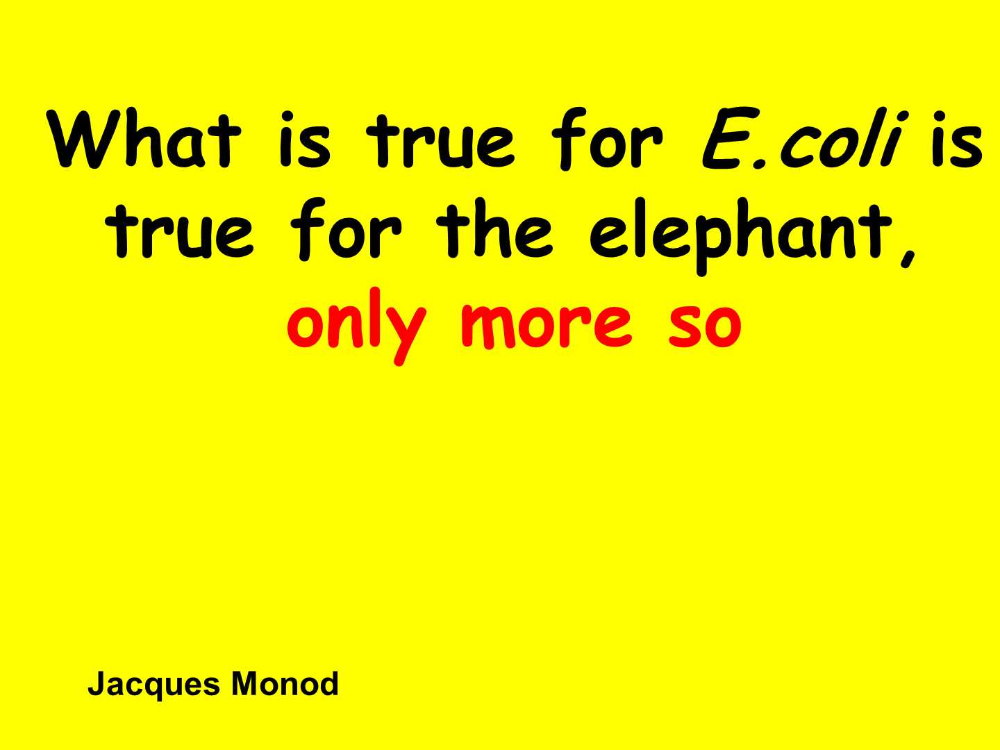 Yeast Research Meeting - Kevin Struhl - Transcriptional regulation in ...