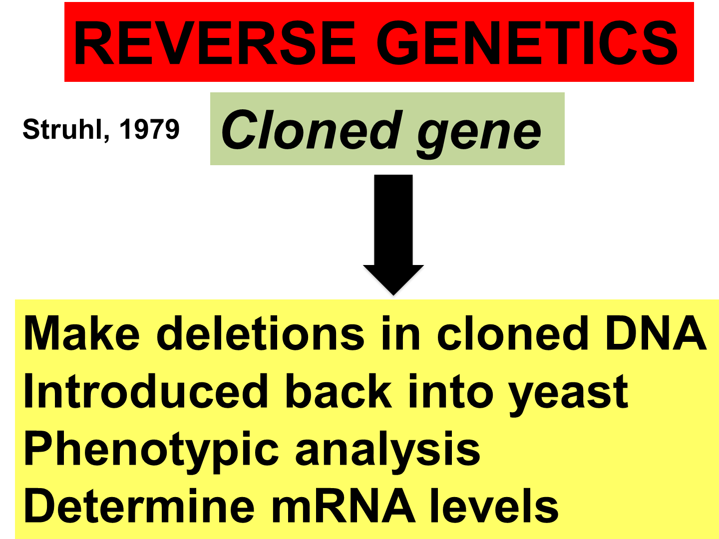 Yeast Research Meeting - Kevin Struhl - Transcriptional regulation in ...